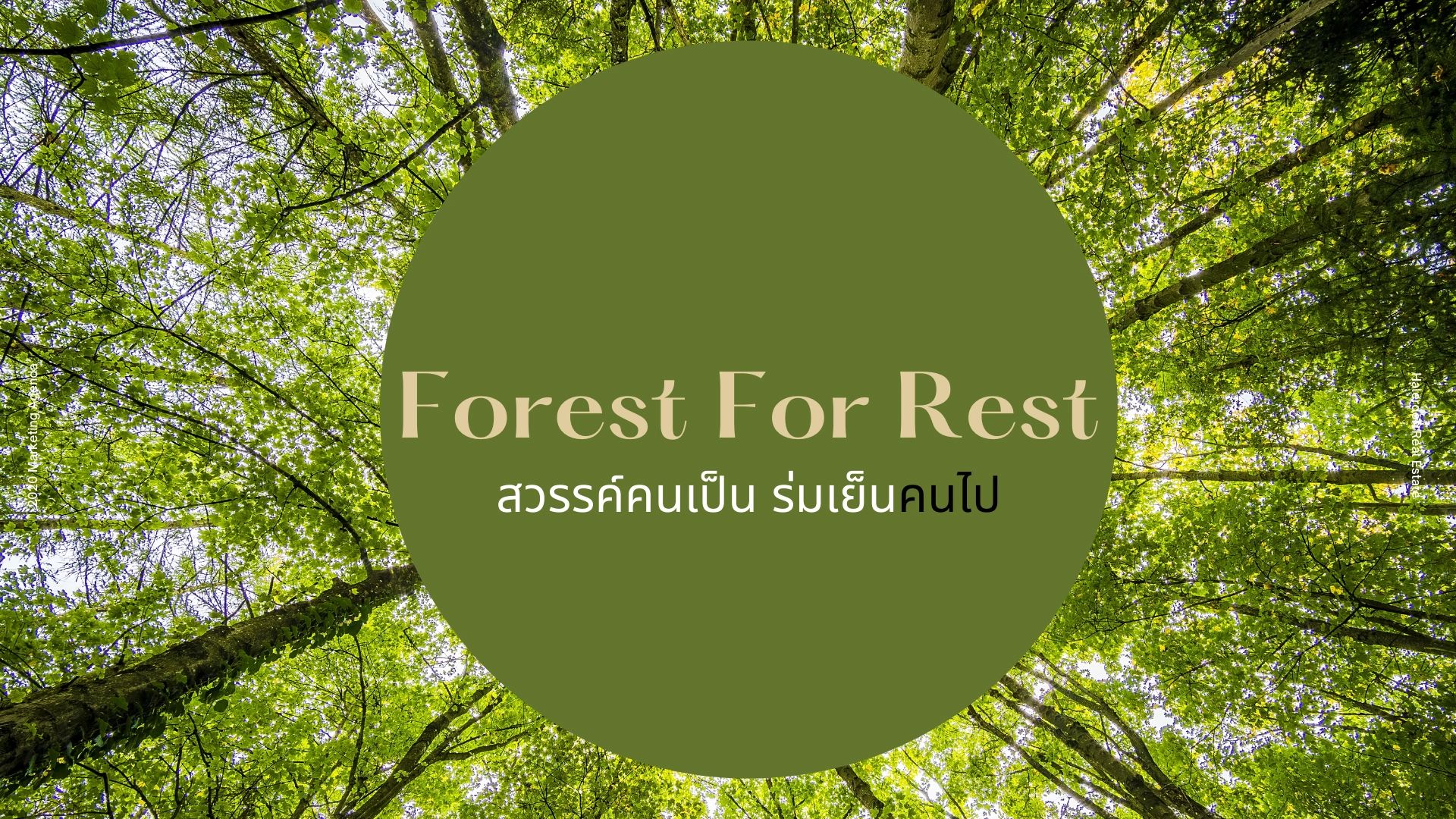 Forest For Rest สวรรค์คนเป็น ร่มเย็นคนไป